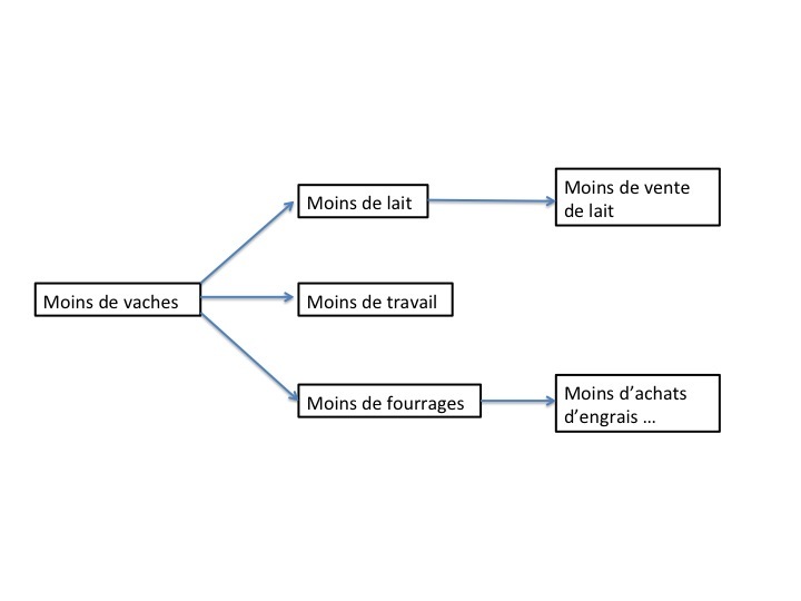 L'exploitation agricole, un lieu de production ? Le système de ...
